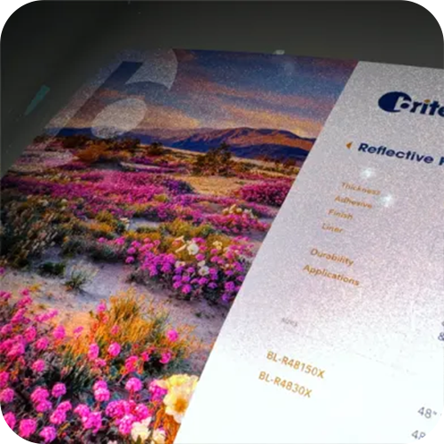 Highlights of the Briteline Portfolio: 25 Years of Excellence in ...