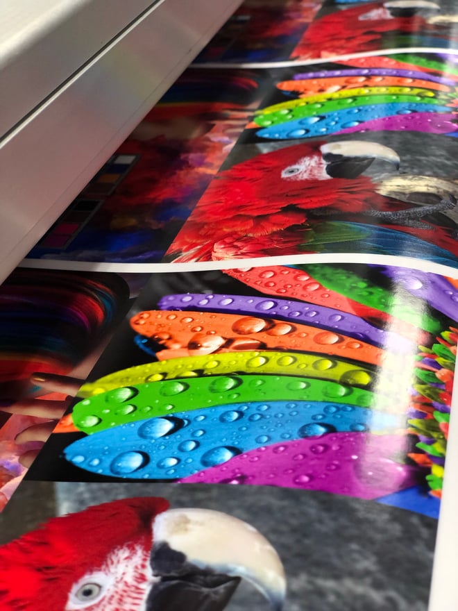 Which Ink Is Right For Me?