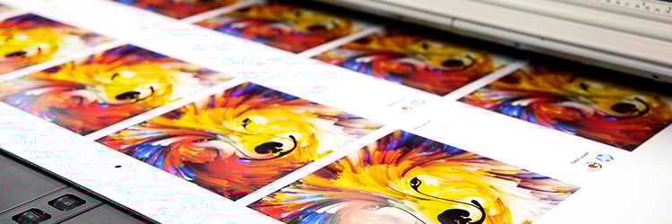 Not All ACM Is the Same: What to Look for When Choosing an Aluminum ...